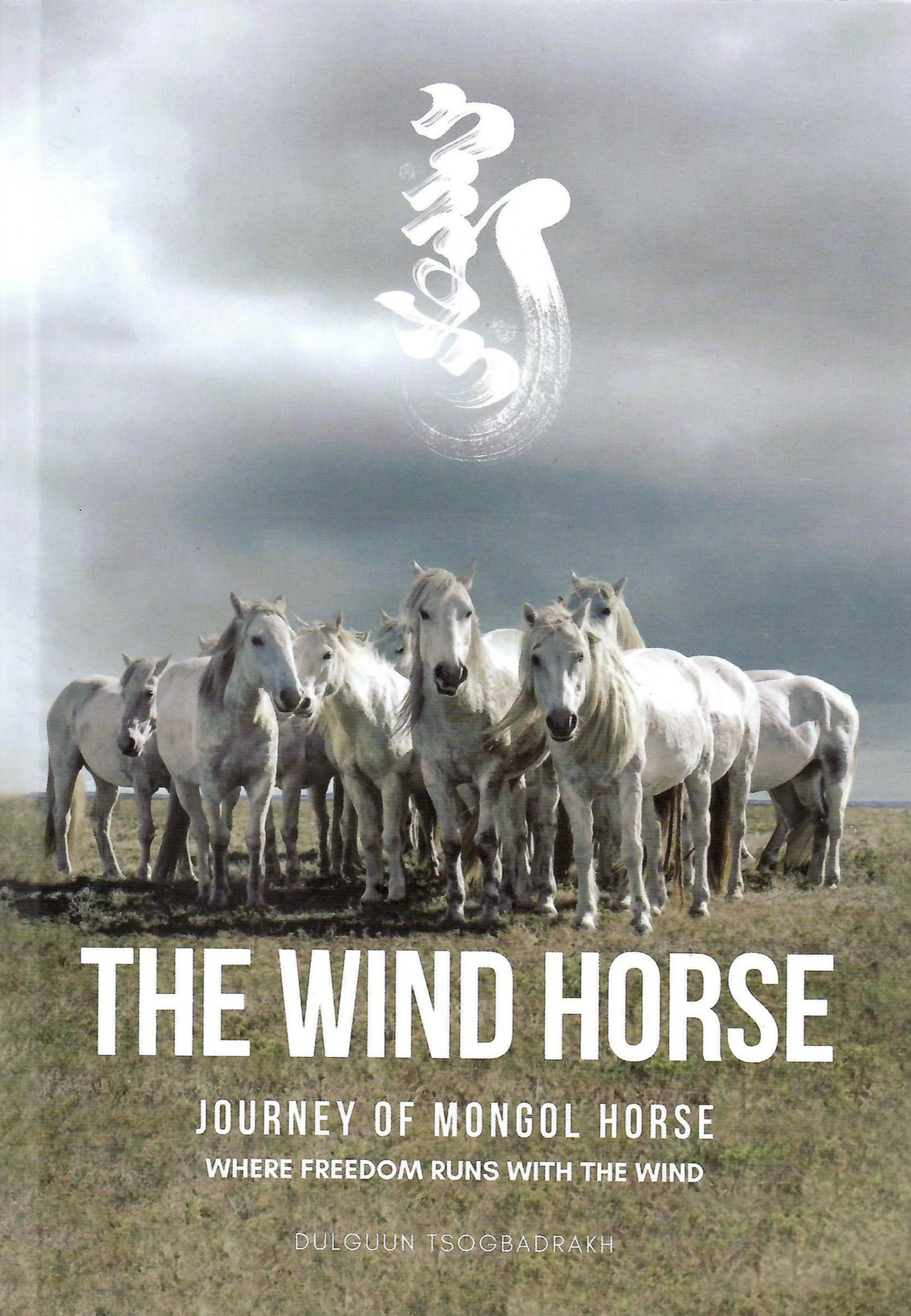 The Wind Horse: Journey of the Mongol Horse